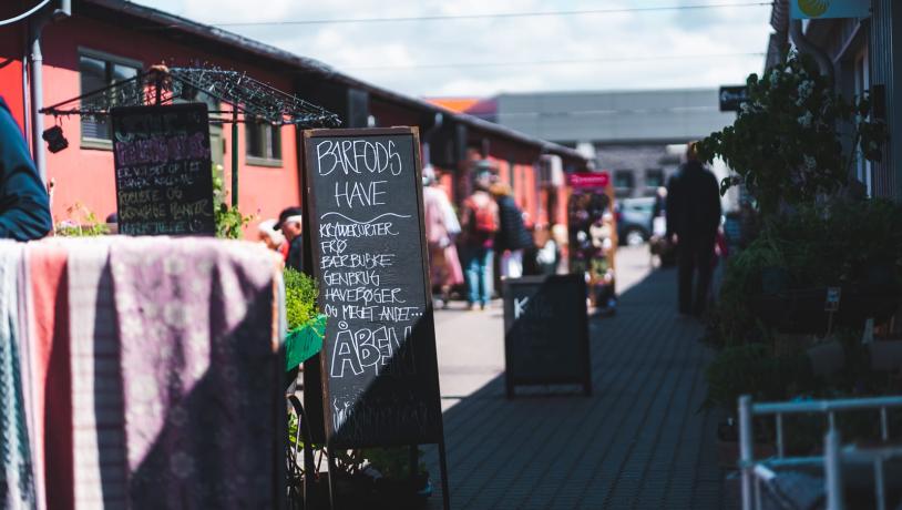 Experience the harbour environment at Hundested Harbour